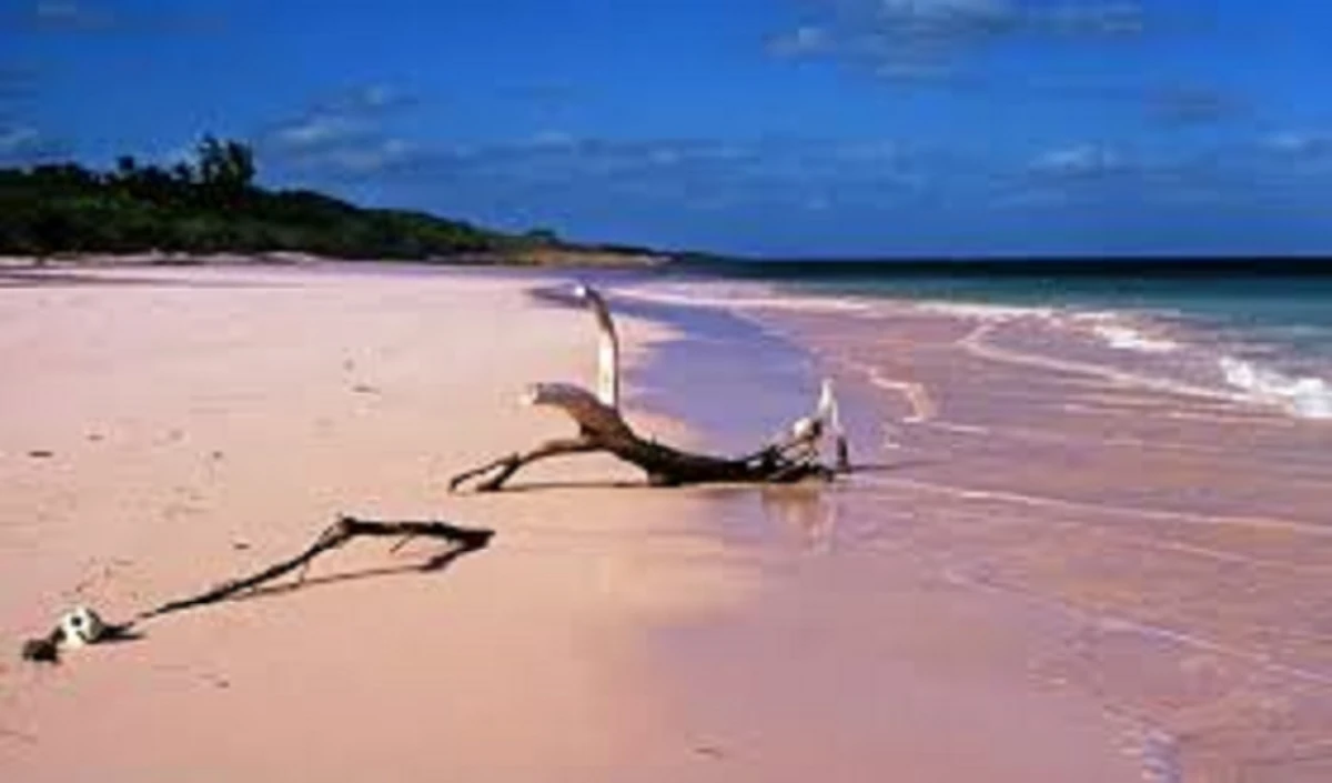 Beach Vacations: क्या आप भी दुनिया भर में मौजूद पिंक बीचेस पर घूमने गए ...